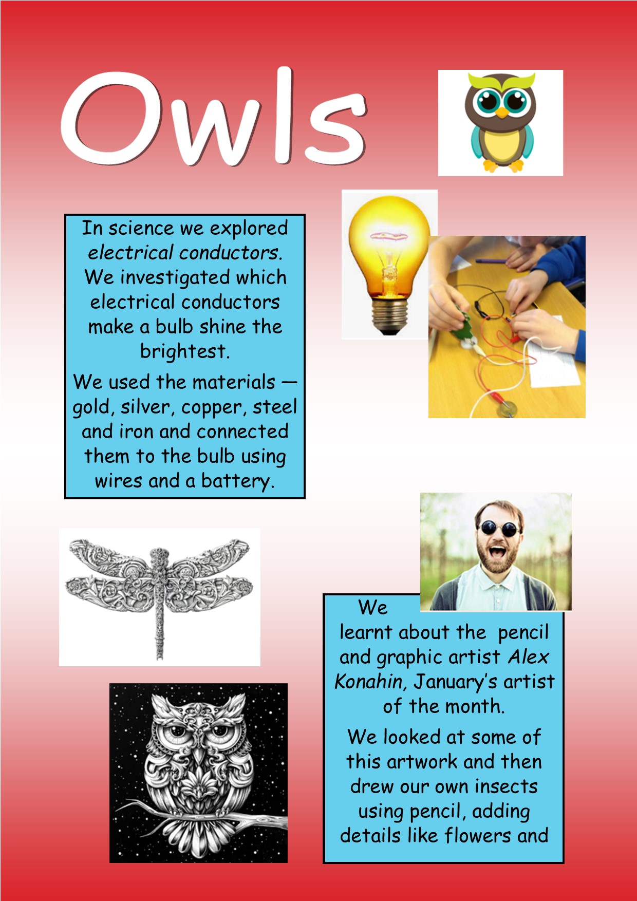 Stepgates Community School - Year 5 - Owls