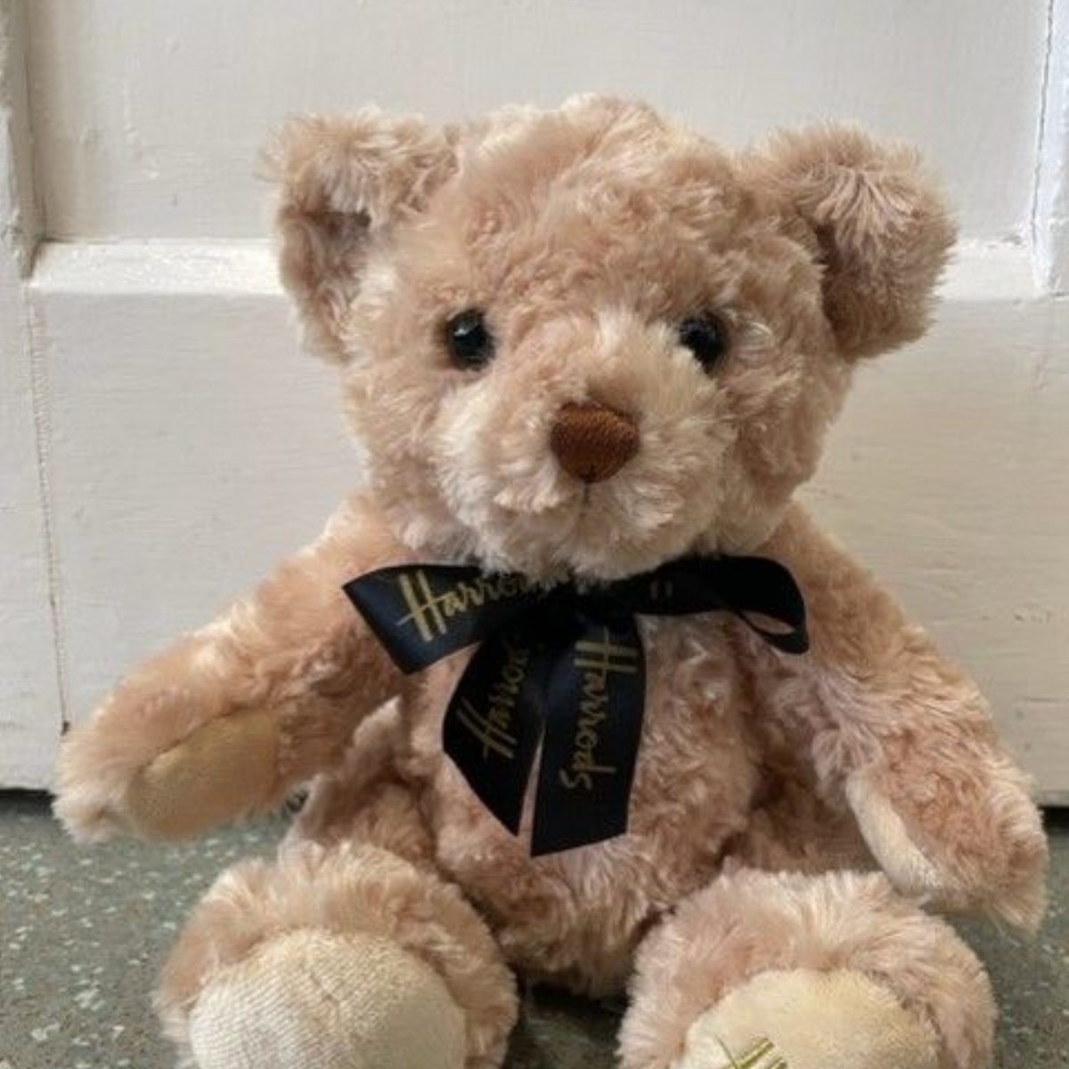 Stepgates Community School - Harry the Book Bear