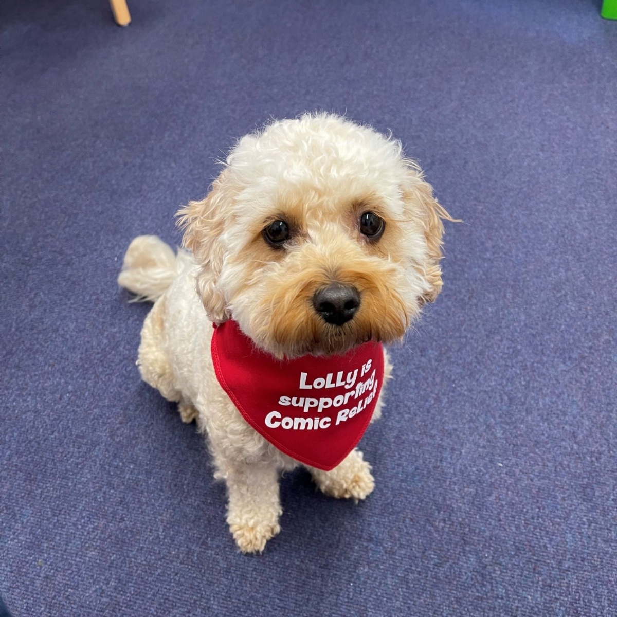 Stepgates Community School - Comic Relief 'Red Nose Day' 2025