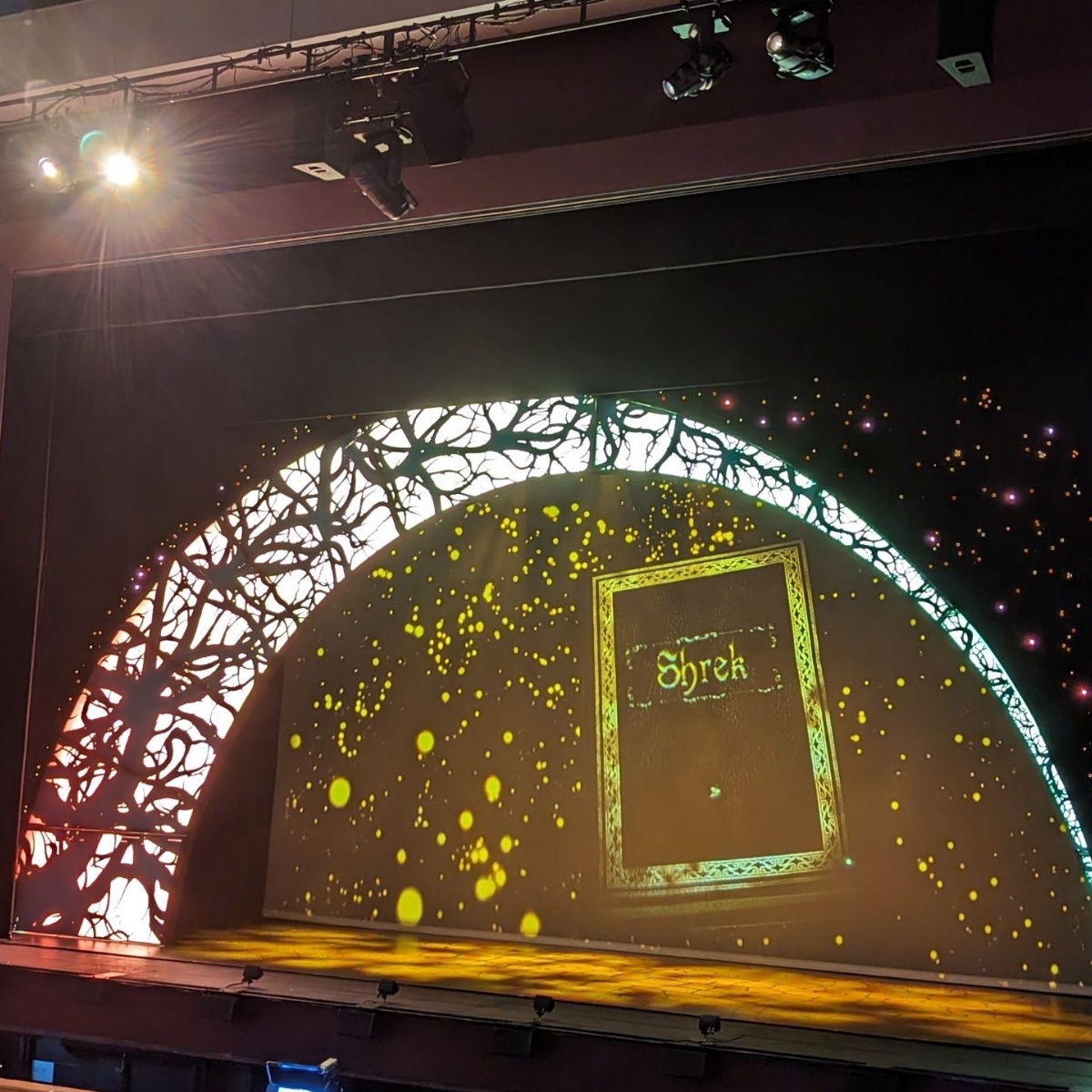 Stepgates Community School - Whole School Trip to see Shrek The Musical